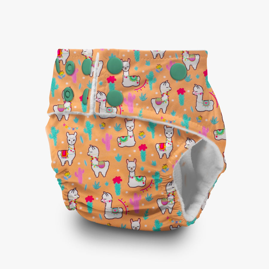 Reusable And Washable Baby Cloth Diapers for babies